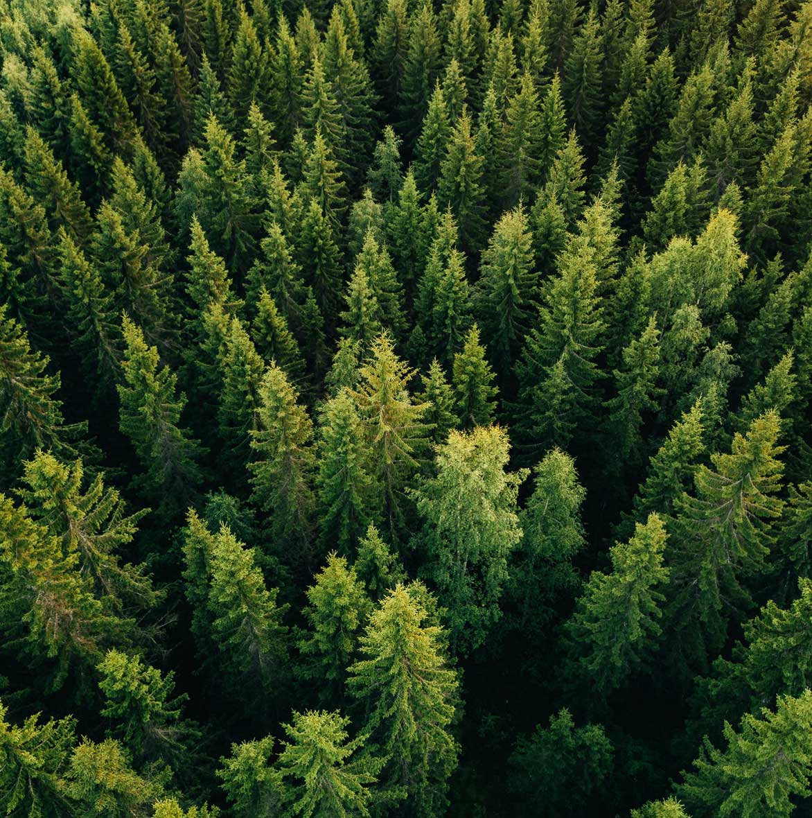 Business Climate Challenge Participant - Core Five