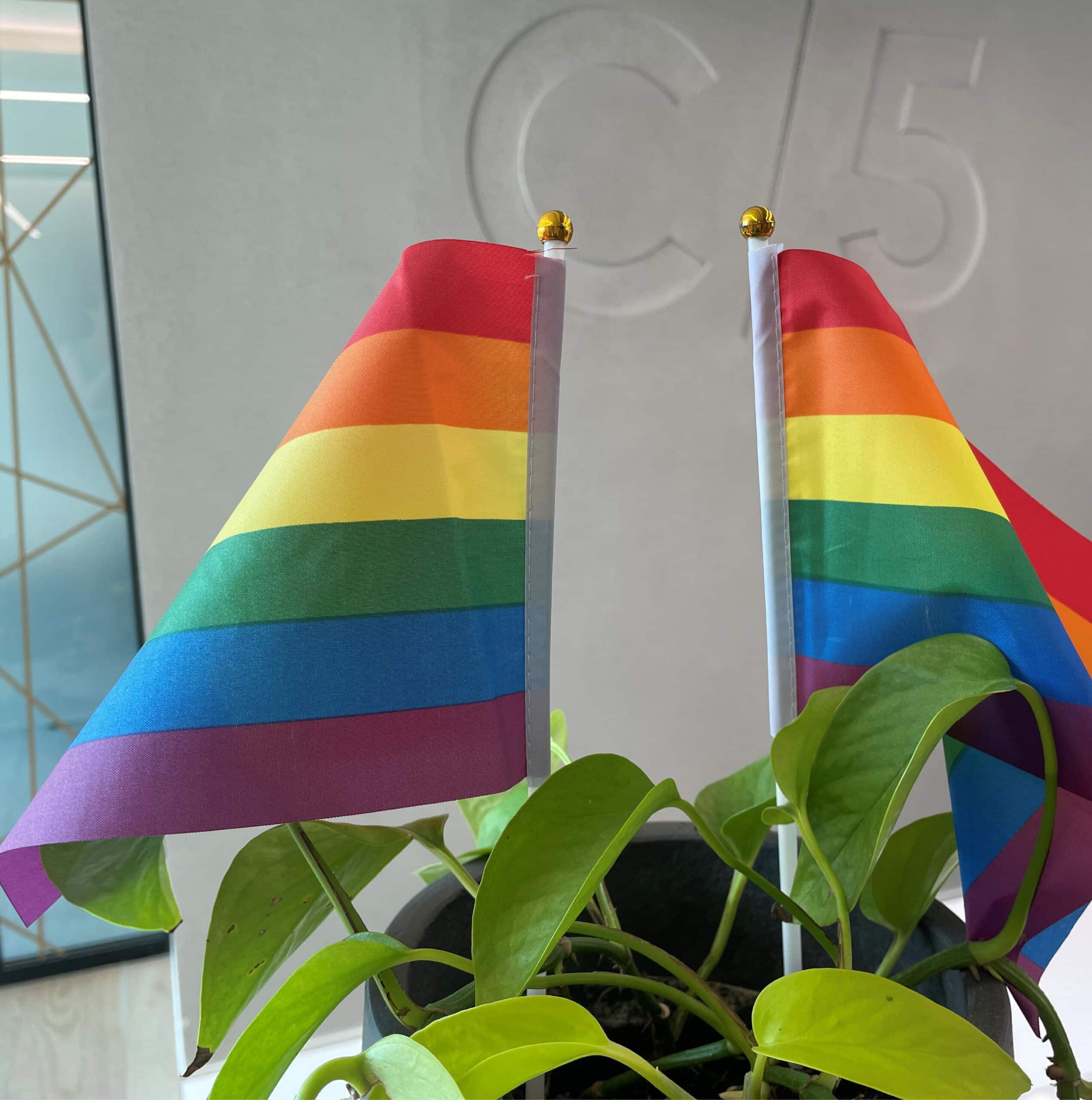 Pride Celebrations Wrap Up - Core Five